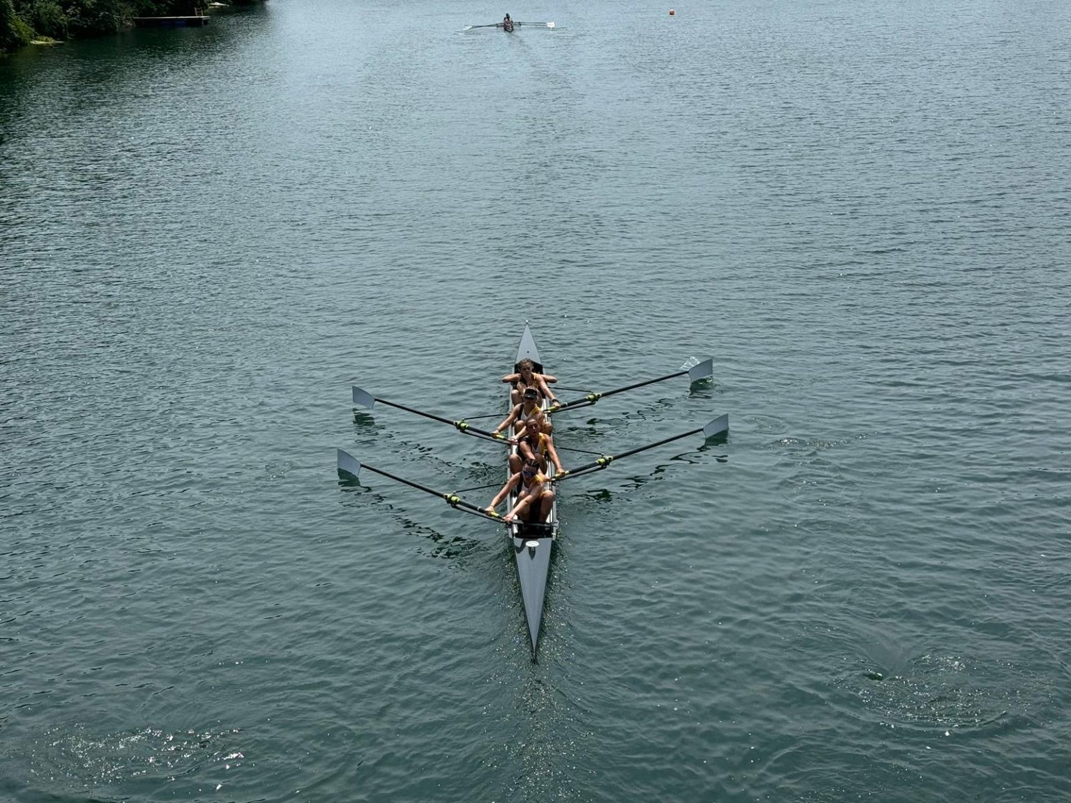 Junior Rowing Page – Wyandotte Boat Club